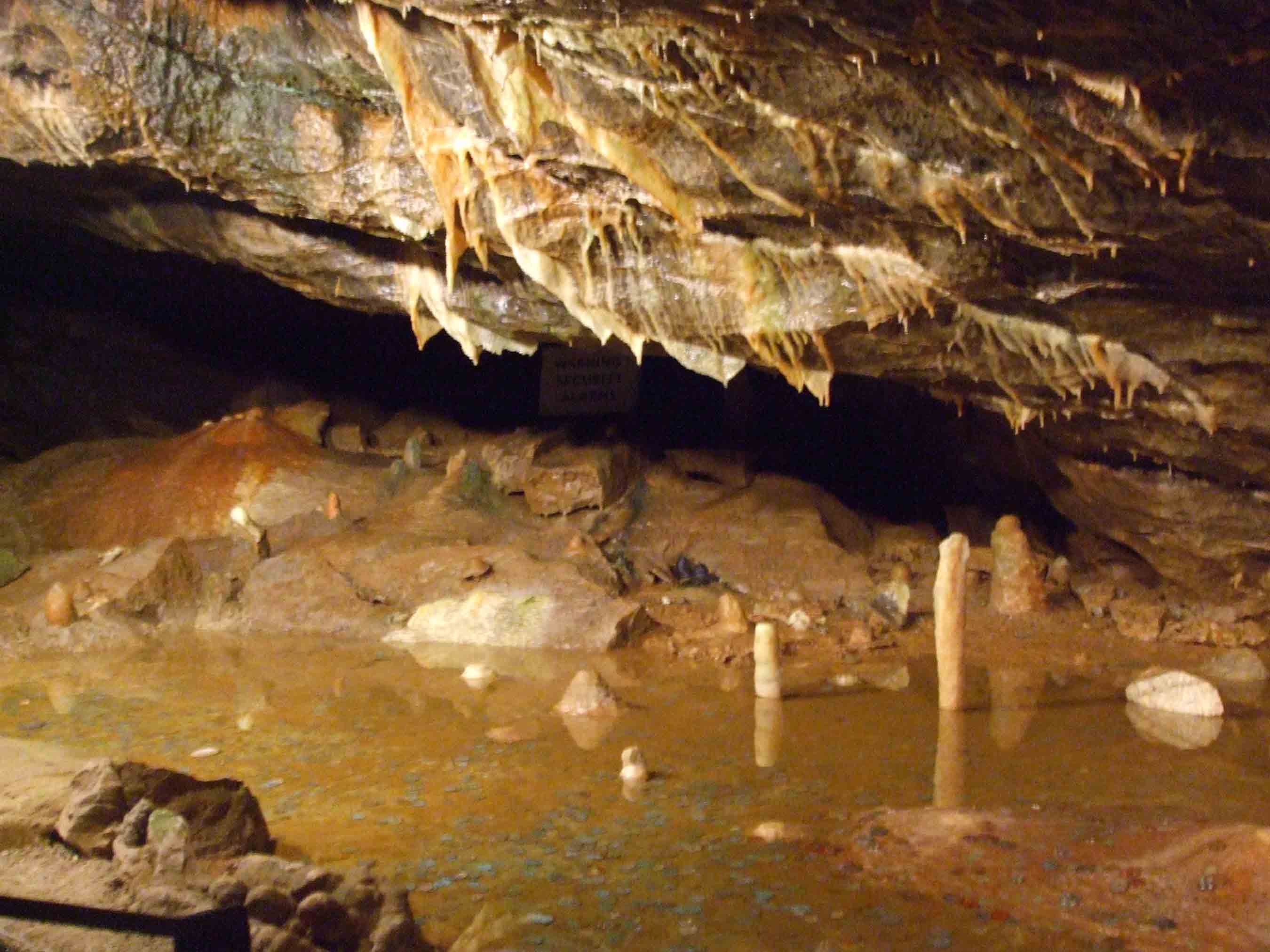 The Cheddar Gorge: Gough’s Cave and a little bit of Cheese – Millie Thom