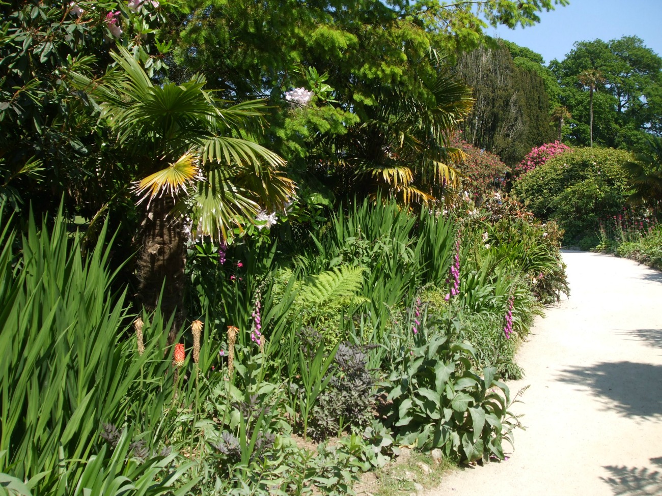 Beginning of walk (Woodland Walk) – Millie Thom