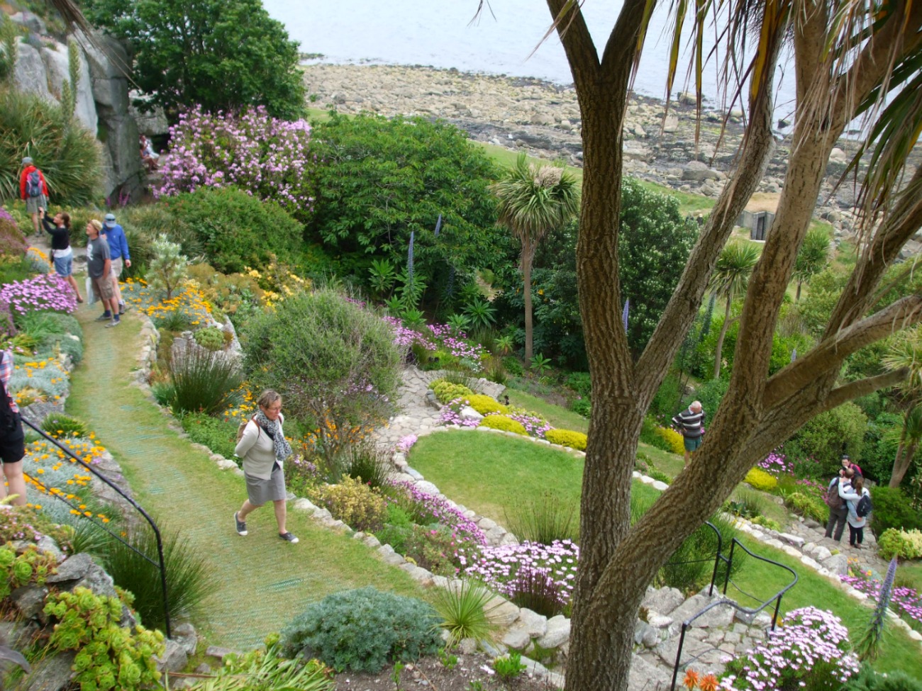 Terraces at St Michael’s Mount – Millie Thom