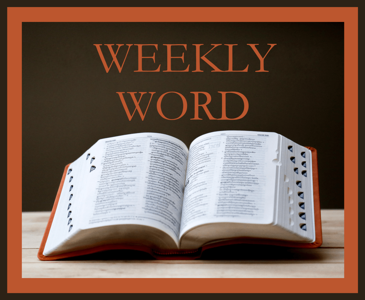 Weekly Word – Obfuscate – Millie Thom