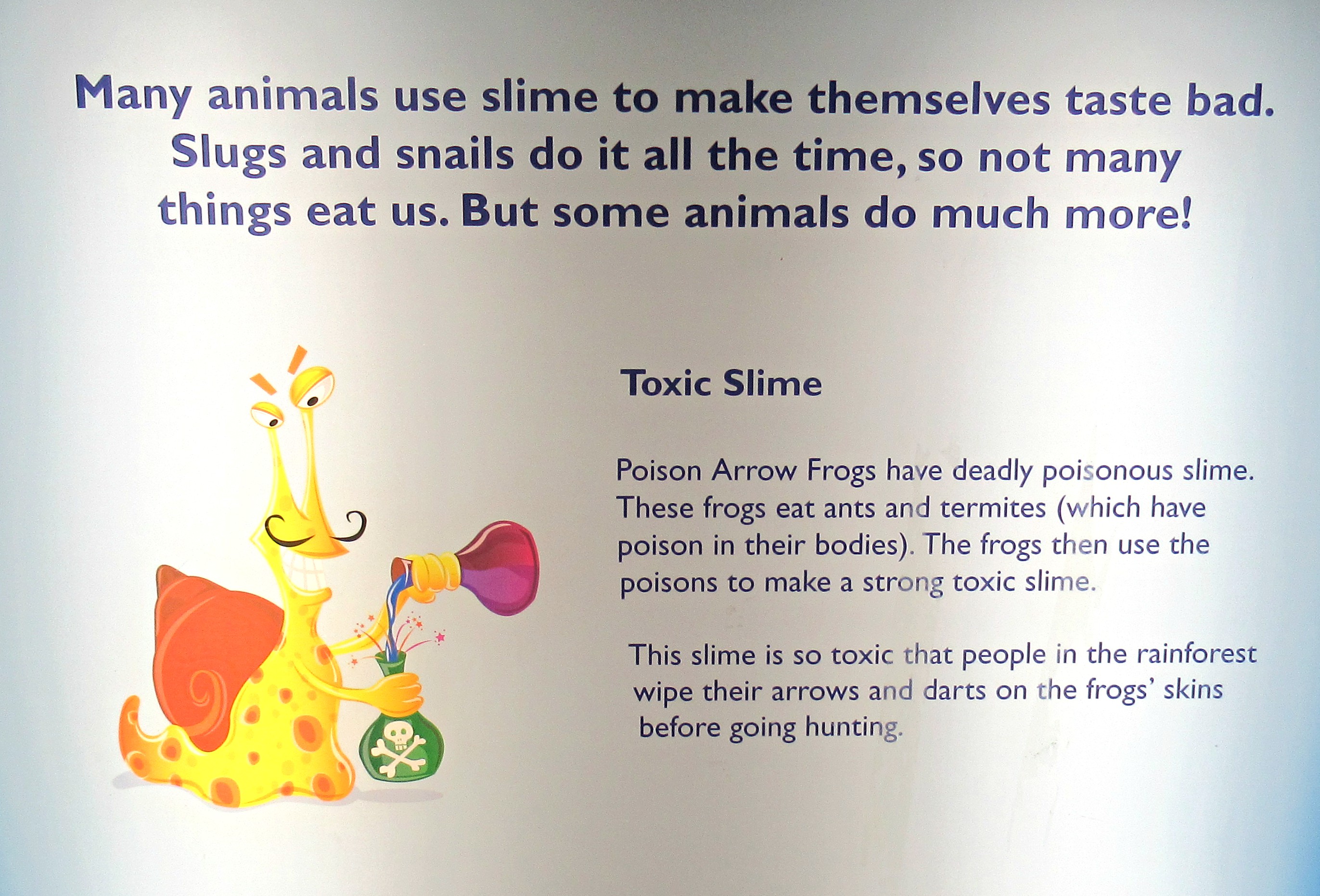 Toxic Slime – Millie Thom