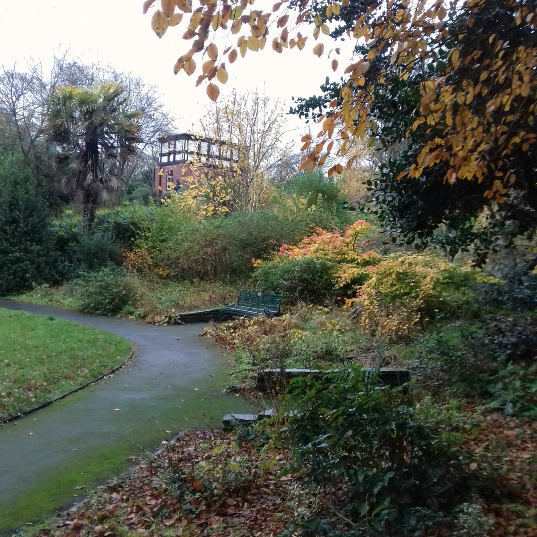 Observatory in the Autumn Trees – Millie Thom